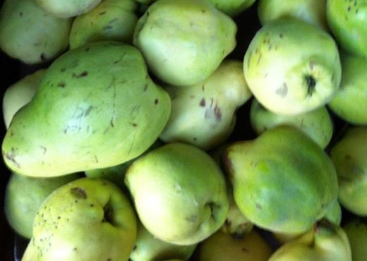 Eaglemount Quince | Cider Says