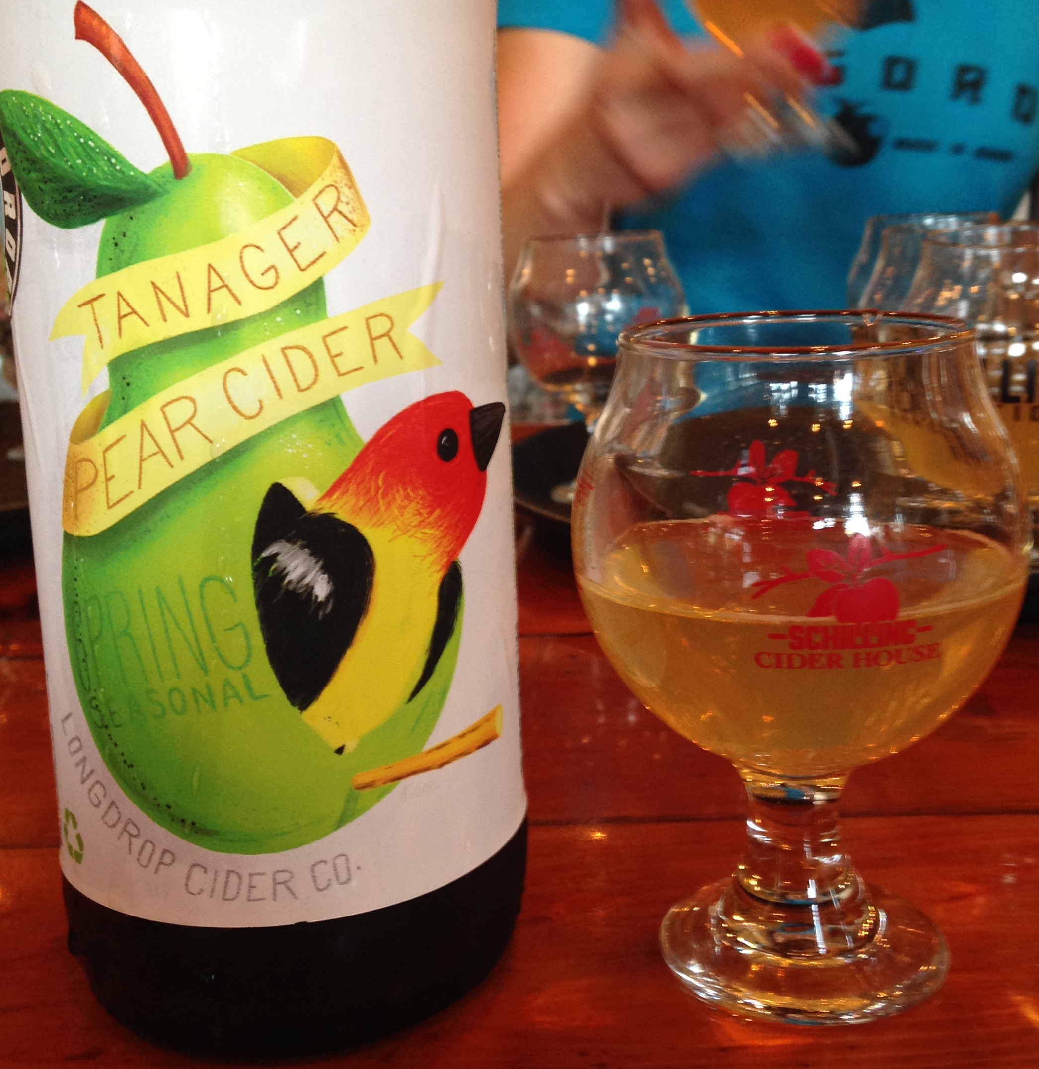 Jester & Judge | Cider Says